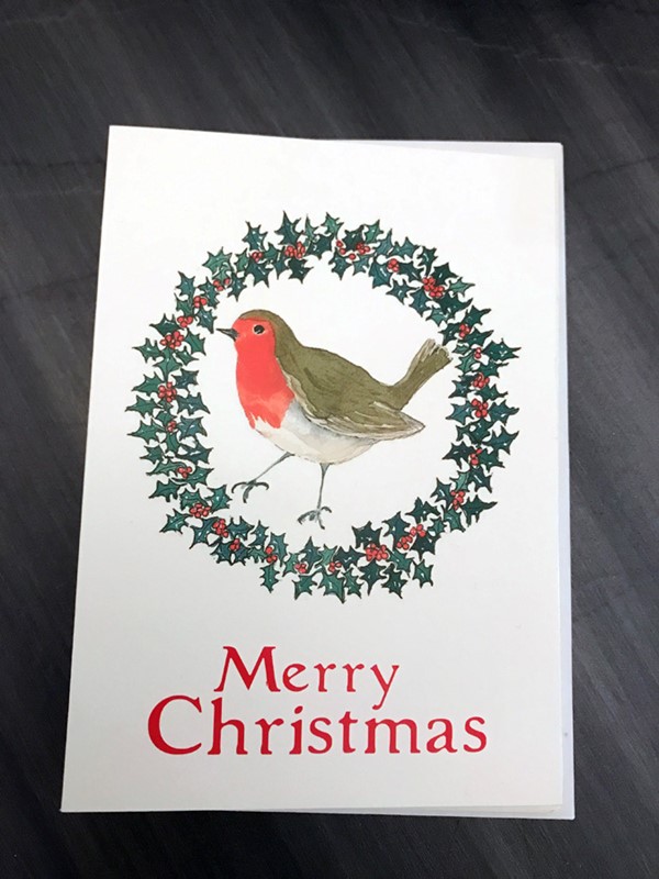 Robin Christmas Card